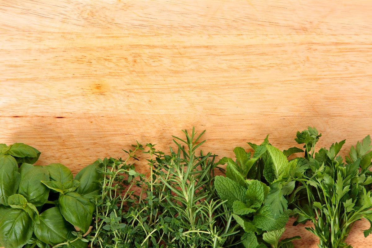 Herb Plants You Should Grow at Home for Health & Wellness – unlimitedgreens